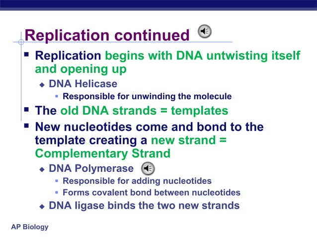 DNA-Replication biology Lesson 3rd Quarter | PPT