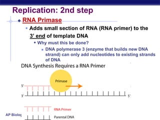 DNA-Replication biology Lesson 3rd Quarter | PPT