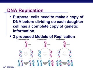 DNA-Replication biology Lesson 3rd Quarter | PPT