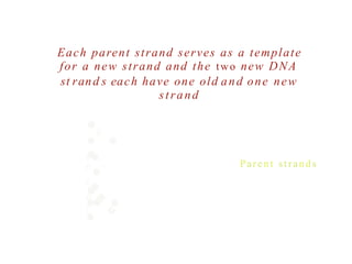 DNA synthesis molec DNA-replication.pptx