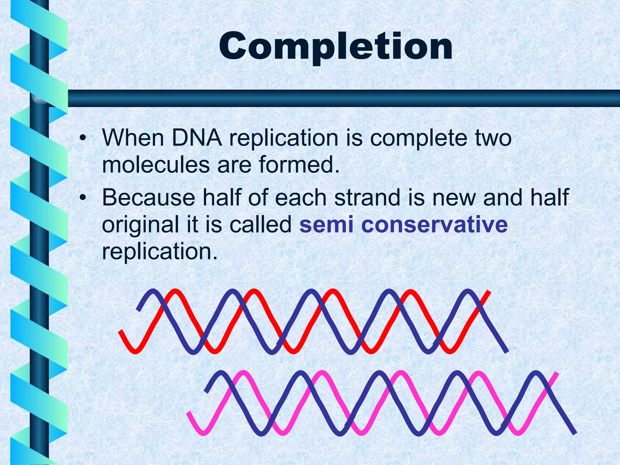 Dna Replication Answer Gaps | PPT