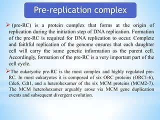 DNA replication-in-eukaryotes | PPTX