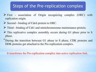DNA replication-in-eukaryotes | PPTX