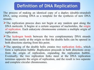 DNA replication-in-eukaryotes | PPTX