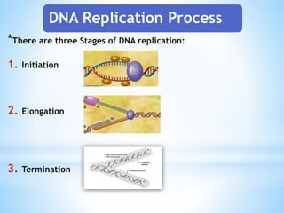 DNA replication-in-eukaryotes | PPTX