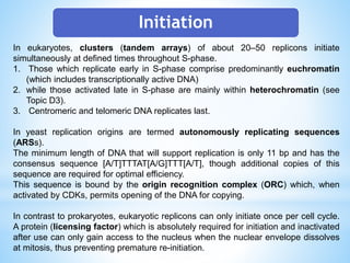 DNA replication-in-eukaryotes | PPTX