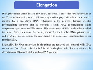 DNA replication-in-eukaryotes | PPTX