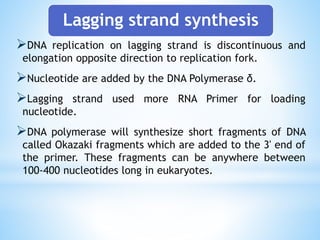 DNA replication-in-eukaryotes | PPTX