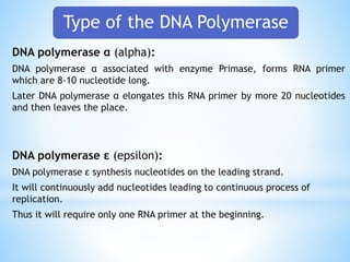 DNA replication-in-eukaryotes | PPTX