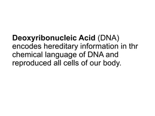 DNA-Replication-WPS-Office.pptx