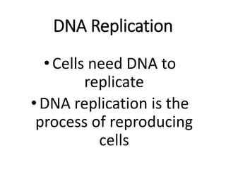 DNA-Replication-WPS-Office.pptx