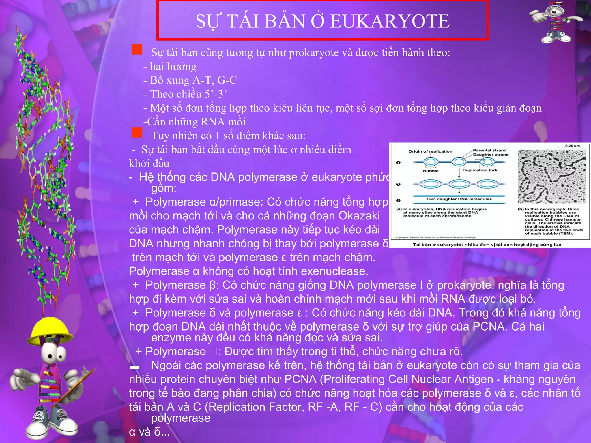 Bài giảng về DNA và RNA | PPT