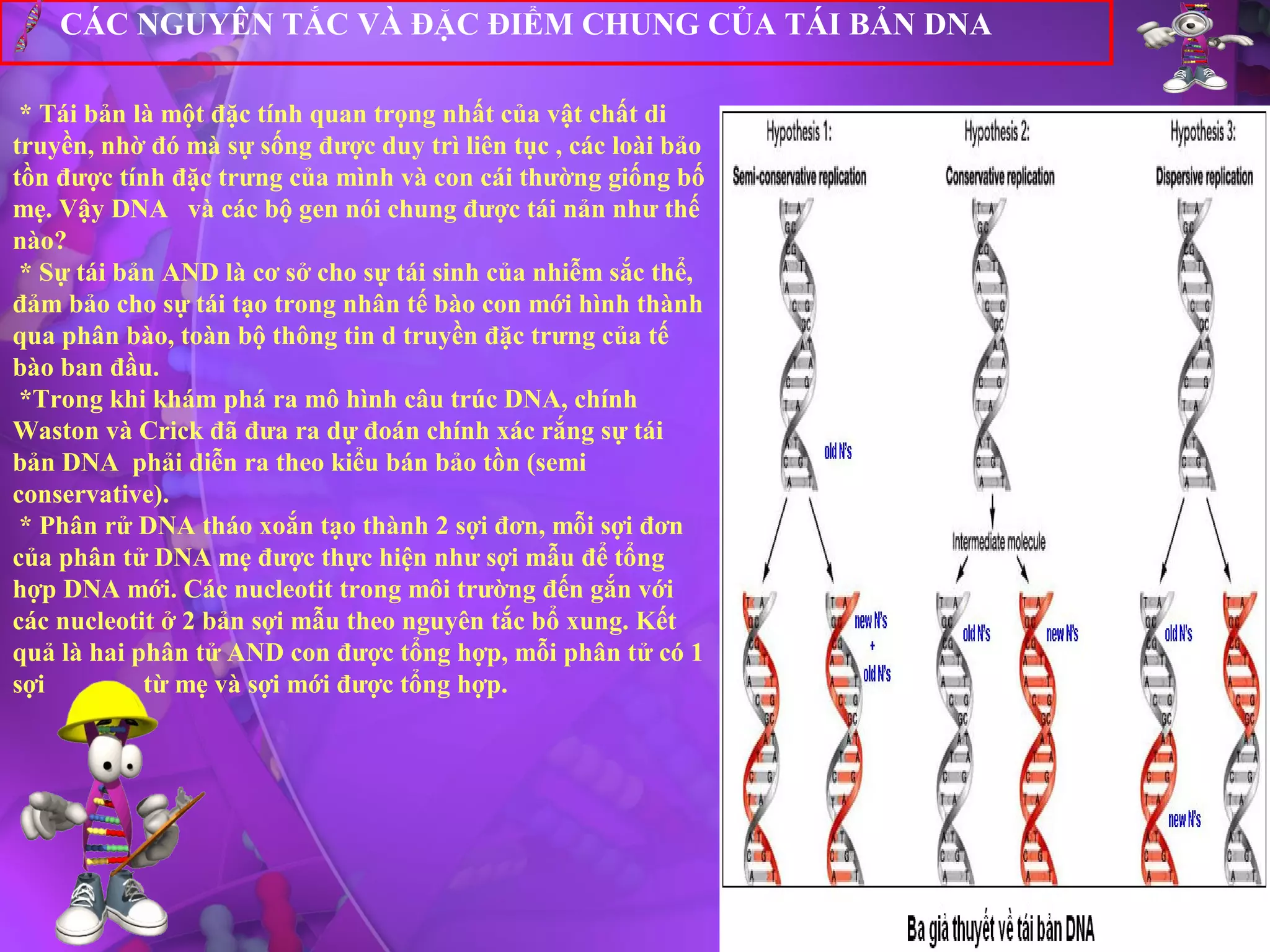 Bài giảng về DNA và RNA | PPT