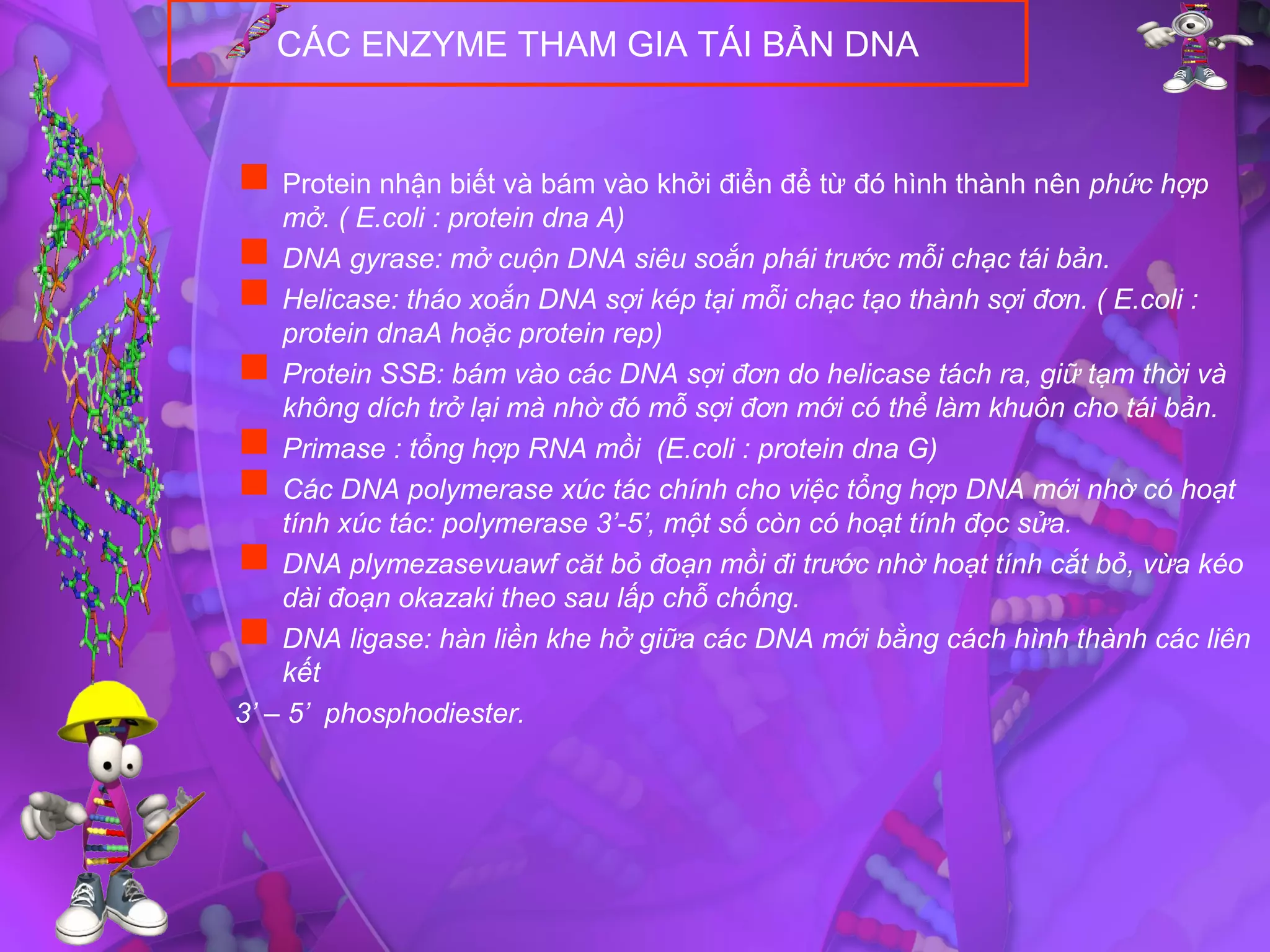 Bài giảng về DNA và RNA | PPT