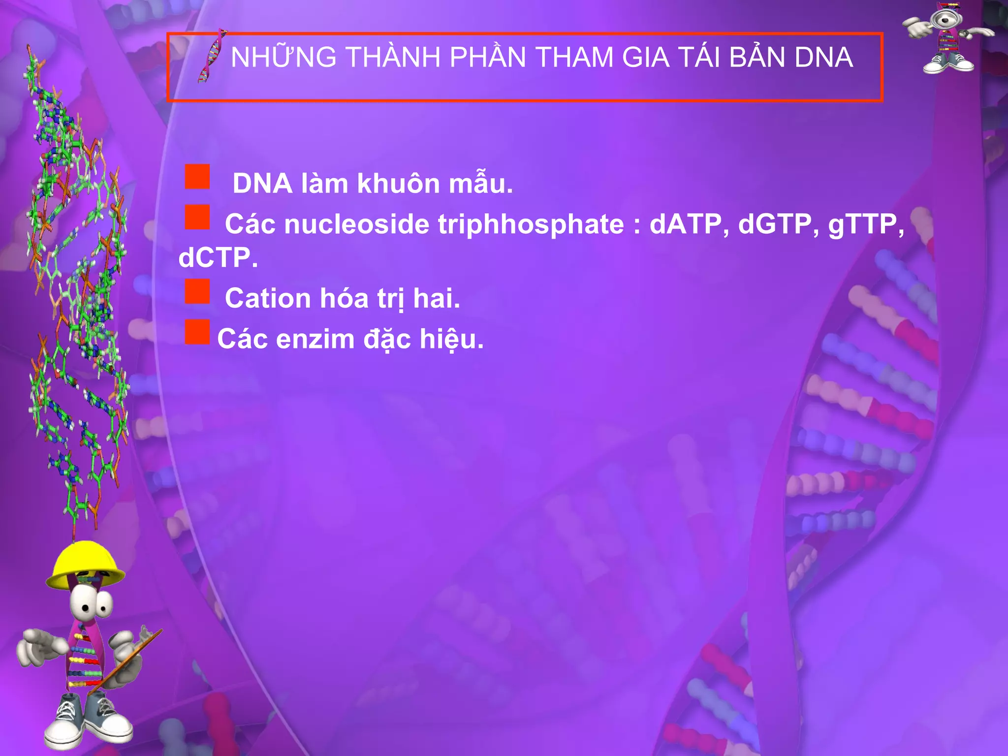 Bài giảng về DNA và RNA | PPT