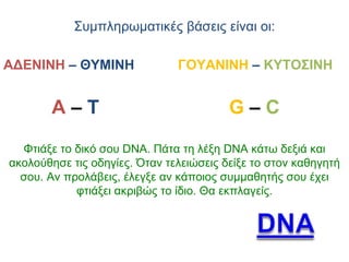ΝΟΥΚΛΕΪΚΑ ΟΞΕΑ: Δομή του DNA και του RNA. | PPT