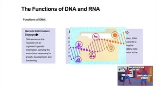 DNA-RNA-PPT 01.pptx
