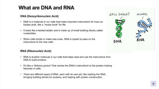 DNA-RNA-PPT 01.pptx