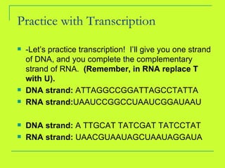 Dna Rna Protein Review | PPT
