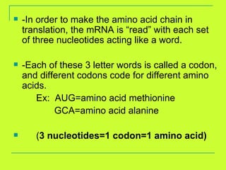 Dna Rna Protein Review | PPT