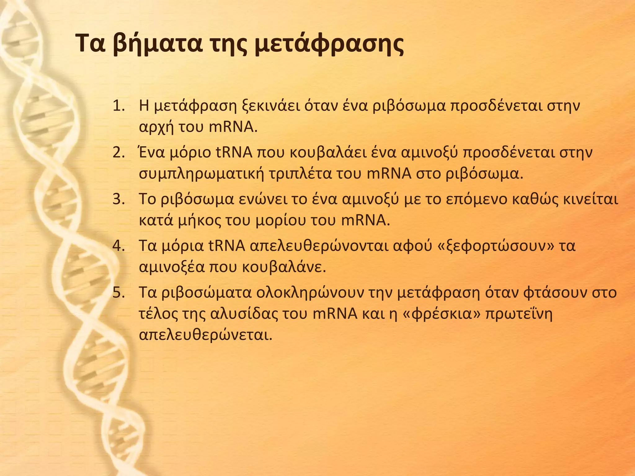 Αντιγραφή, μεταγραφή, μετάφραση: Η ροή της γενετικής πληροφορίας | PPT