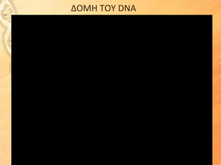 Αντιγραφή, μεταγραφή, μετάφραση: Η ροή της γενετικής πληροφορίας | PPT