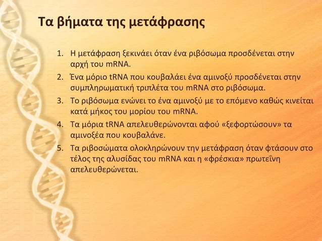 Αντιγραφή, μεταγραφή, μετάφραση: Η ροή της γενετικής πληροφορίας | PPT