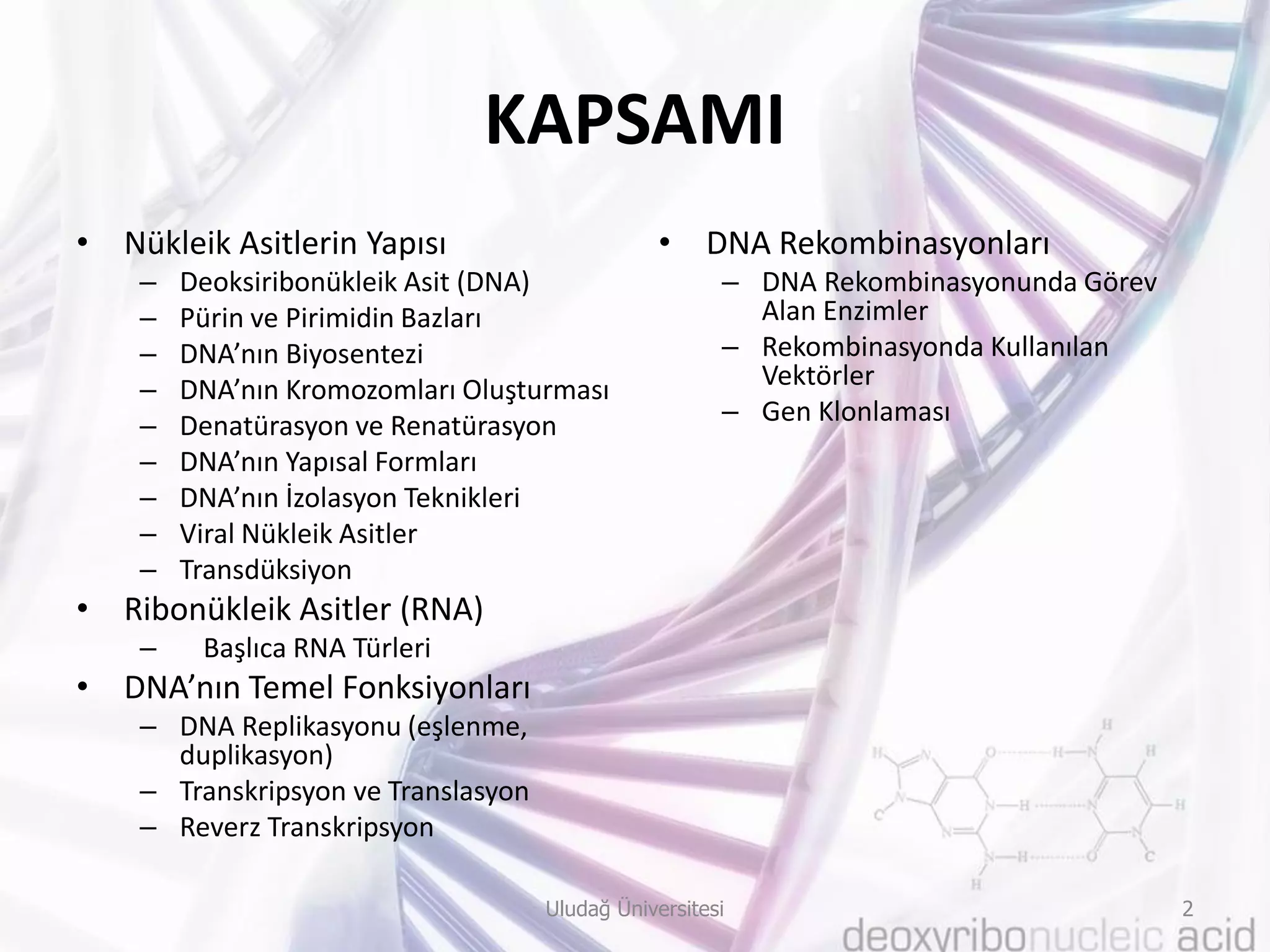 DNA RNA [in Turkish] | PDF