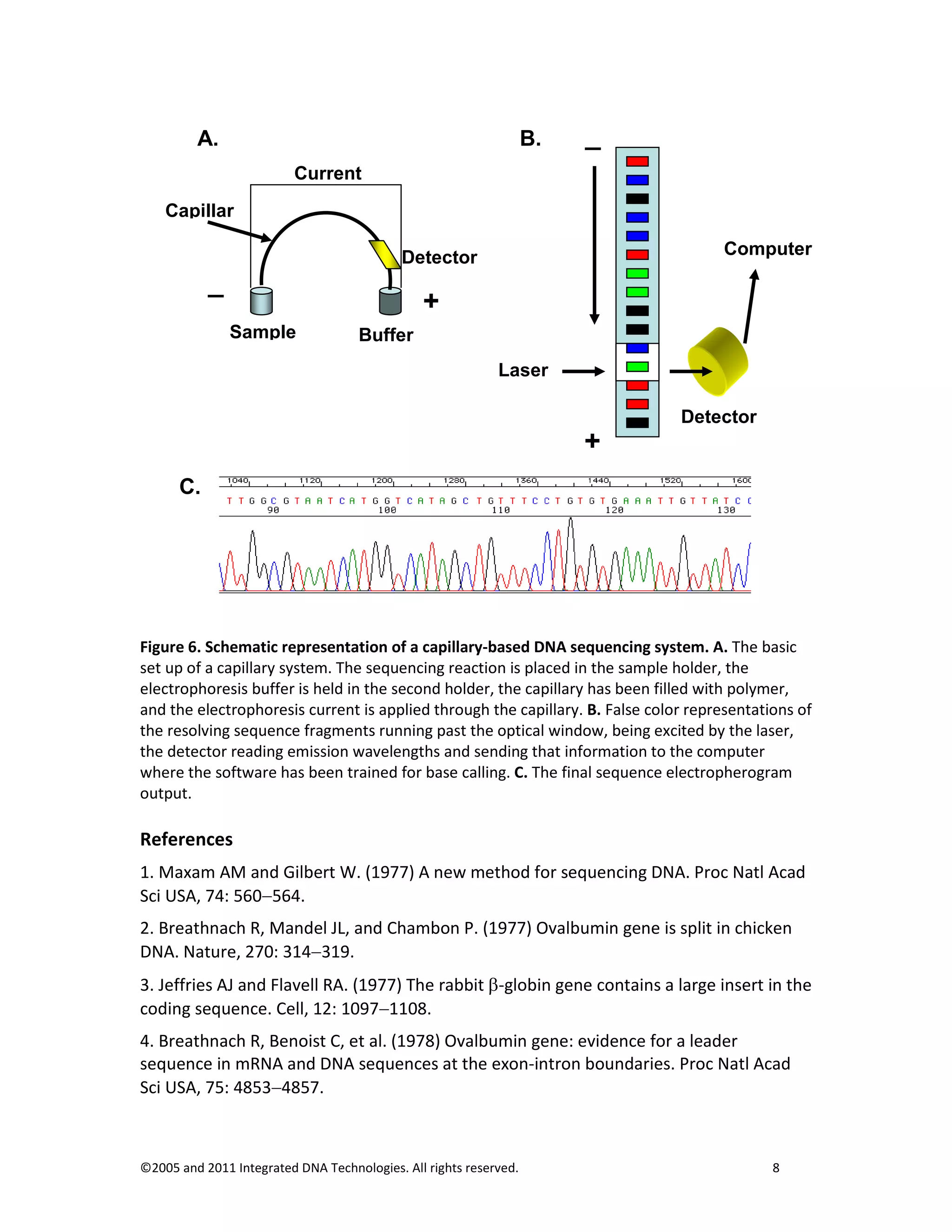 Dna sequencing | PDF