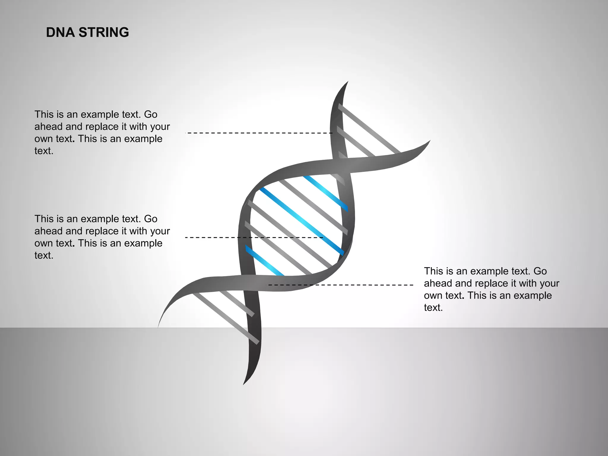 DNA Strand Diagram for PowerPoint | PPT