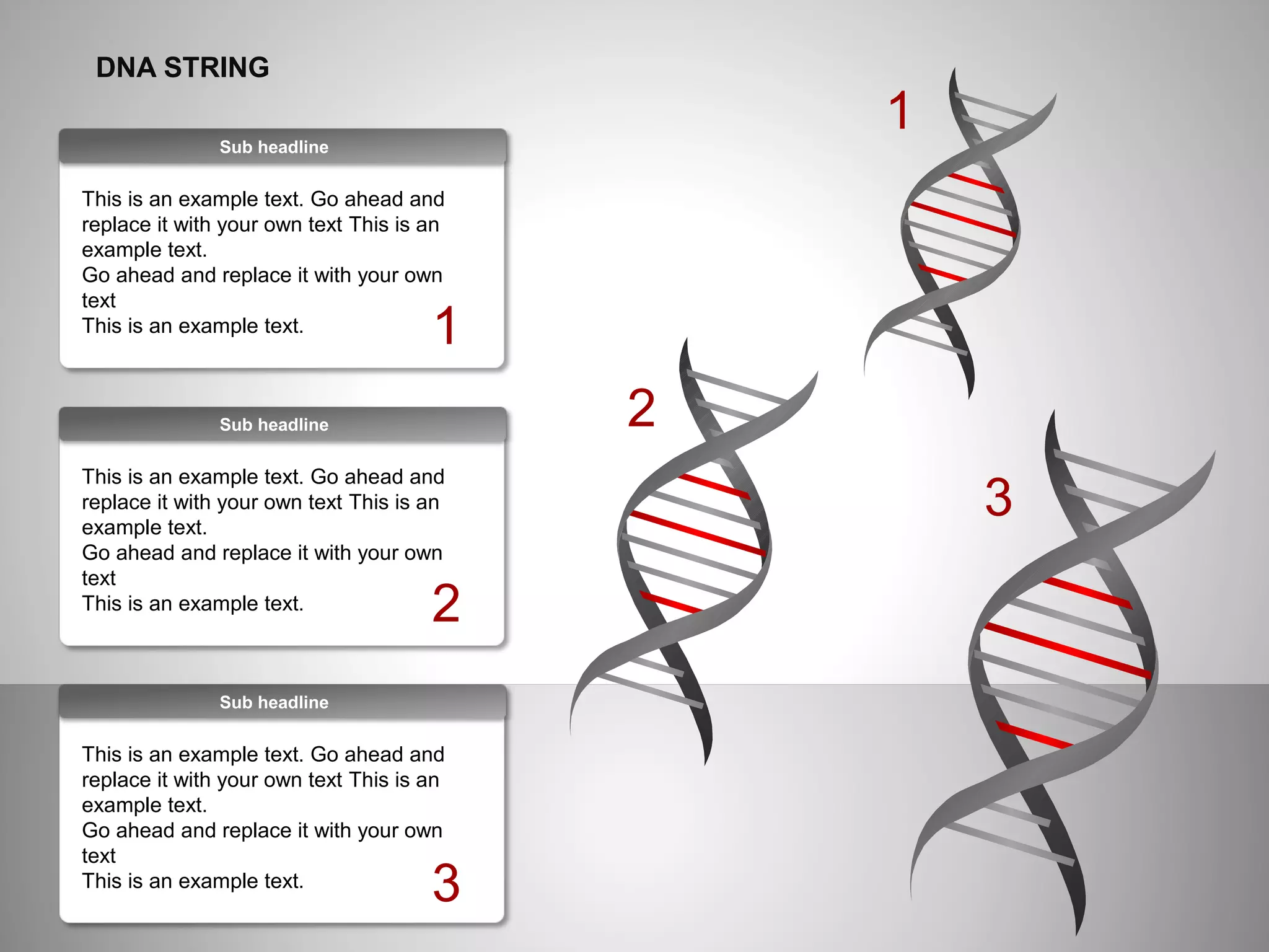 DNA Strand Diagram for PowerPoint | PPT