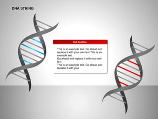 DNA Strand Diagram for PowerPoint | PPT