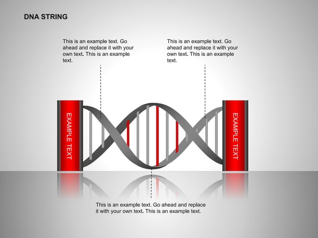 DNA Strand Diagram for PowerPoint | PPT | Genetics | Science