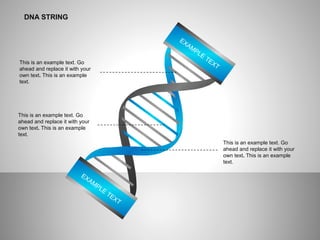 DNA Strand Diagram for PowerPoint | PPT