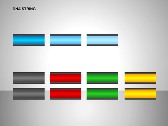 DNA Strand Diagram for PowerPoint | PPT | Genetics | Science