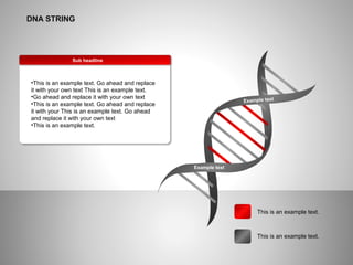 DNA Strand Diagram for PowerPoint | PPT