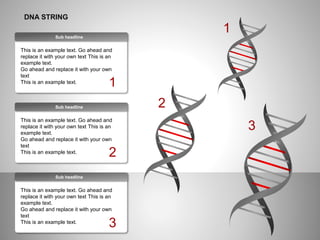 DNA Strand Diagram for PowerPoint | PPT