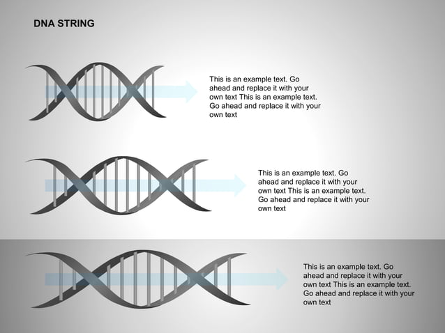 DNA Strand Diagram for PowerPoint | PPT | Genetics | Science