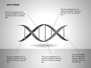 DNA Strand Diagram for PowerPoint | PPT