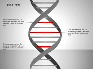 DNA Strand Diagram for PowerPoint | PPT