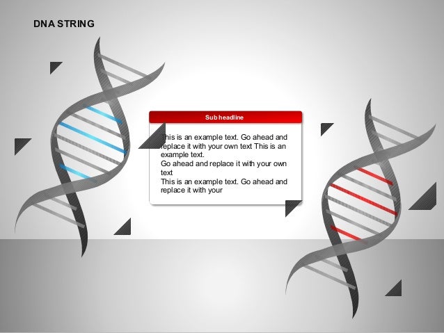 DNA Strand Diagram for PowerPoint