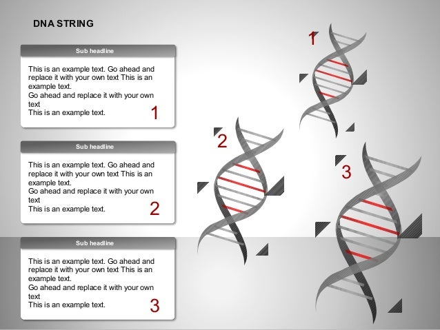 DNA Strand Diagram for PowerPoint