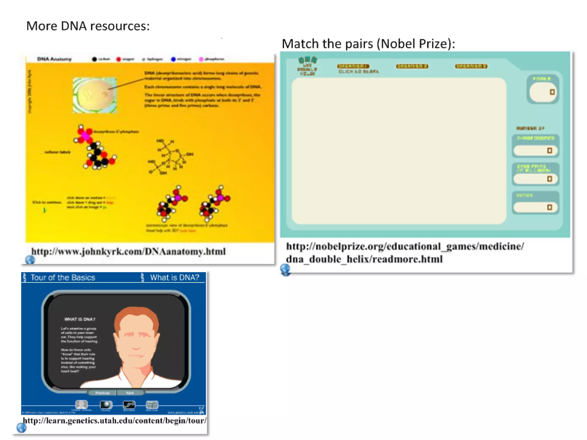 DNA Structure (core and AHL) | PDF