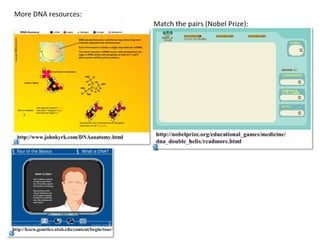 DNA Structure (core and AHL) | PPT