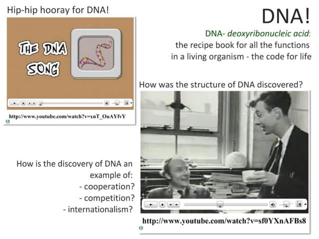 DNA Structure (core and AHL) | PDF