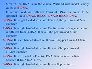 Dna structure.jpg