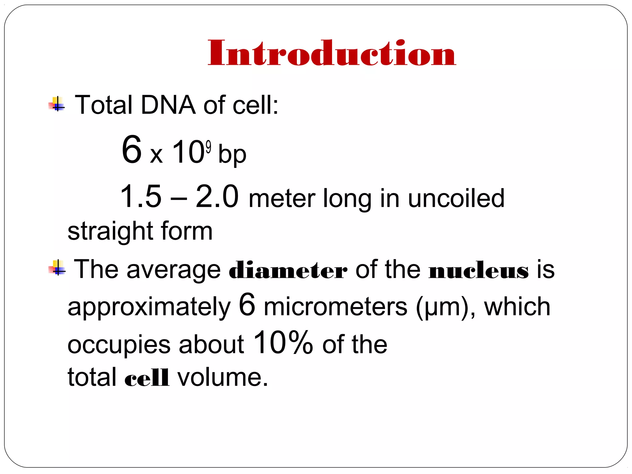DNA: structure, organization and function | PPT