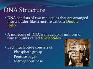 DNA-Structure PPT.ppt