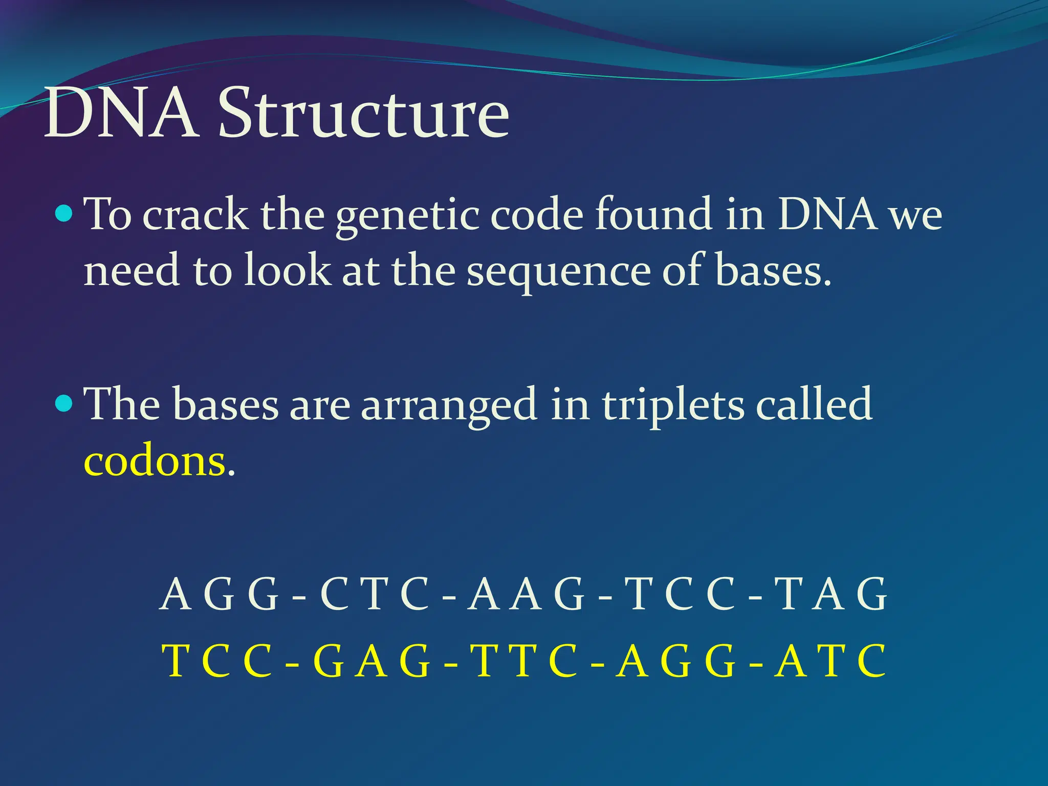 DNA-Structure PPT.ppt................... | PPT | Free Download