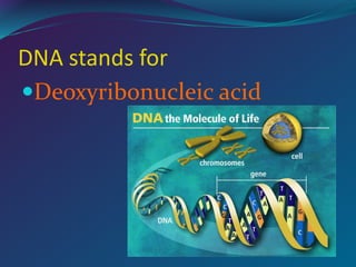 DNA-Structure PPT.ppt................... | PPT
